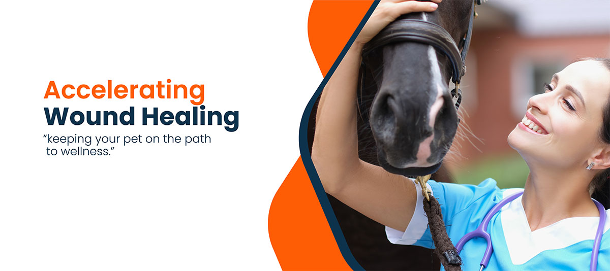 SIL.VET – RAPID WOUND HEALING